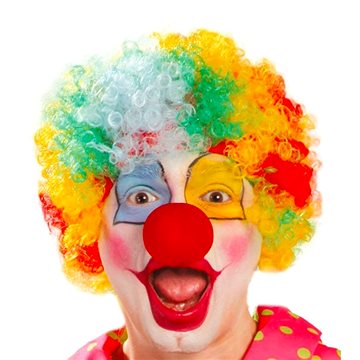 Multicoloured Clown Afro Wig – Adult One Size | Once Upon A Time ...